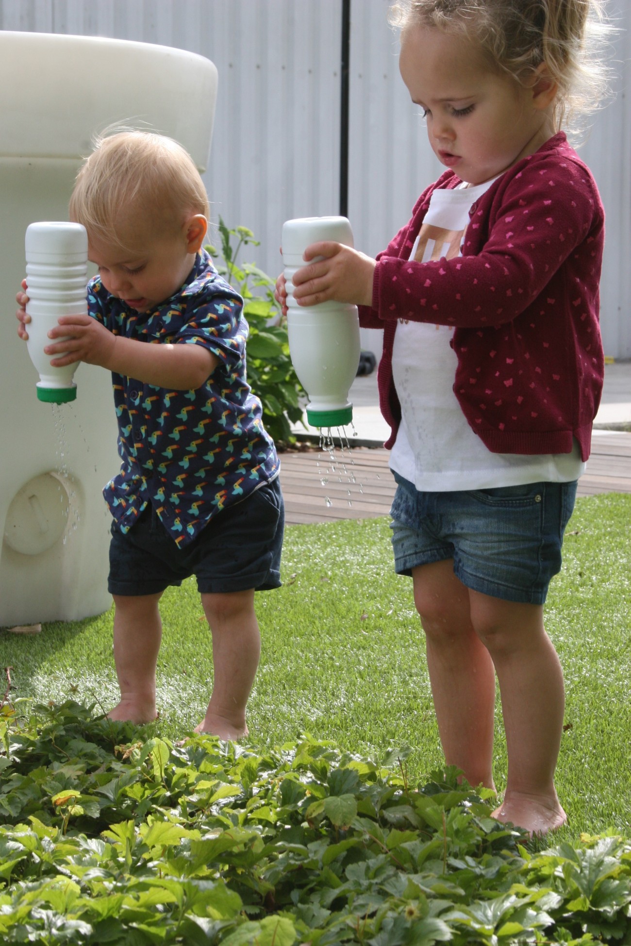 Speelbank.be | Sproei